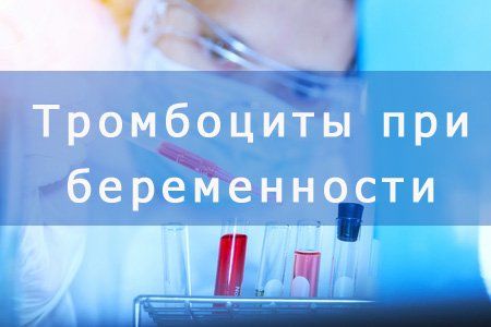 Тромбоциты при беременности | Kukuzya.ru